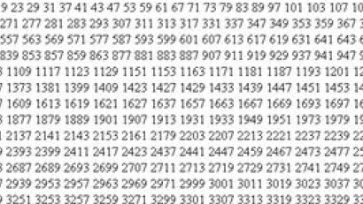 Forskere finder verdens højeste primtal | Udland | DR