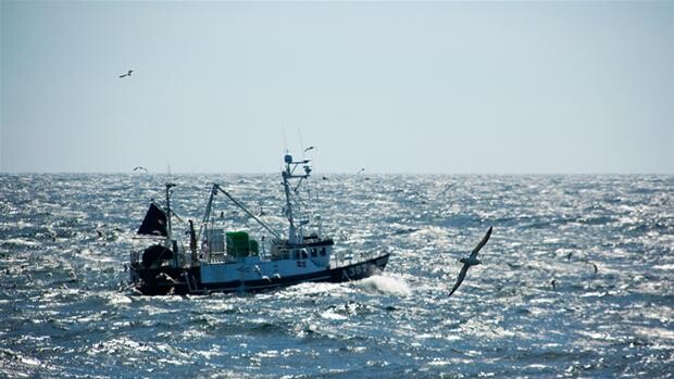 Fotos af 1000 fiskekuttere fra Esbjerg | Syd- og Sønderjylland | DR
