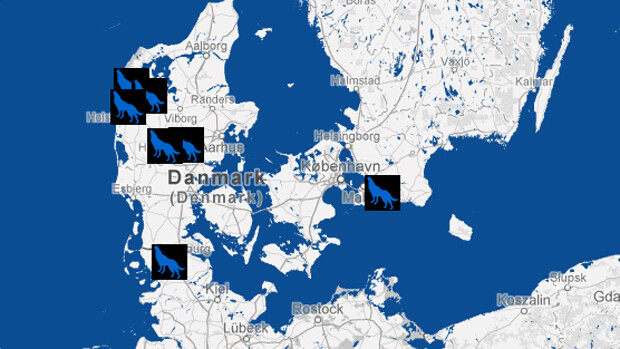 KORT: Her er ulven spottet i Danmark | Indland | DR