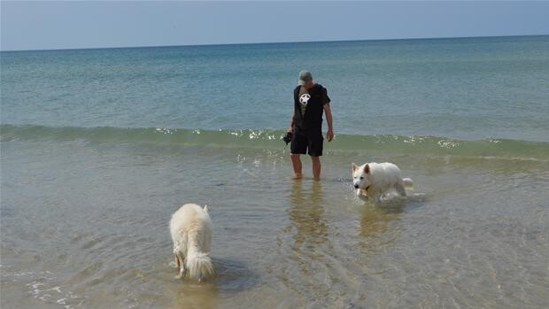 Nicht so gut med forbud mod badende hunde | Nordjylland | DR