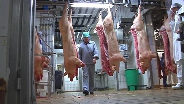 Danish Crowns slagteri på Bornholm lukker | Penge | DR