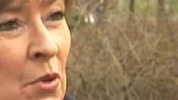 Svensk partileder under pres | Udland | DR