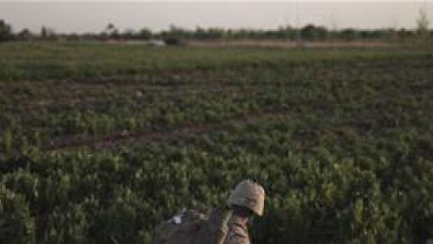 USA ser gennem fingre med opium i Helmand | Udland | DR