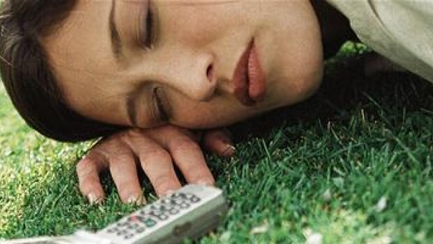 Mobilens ringetone er ren terapi | Indland | DR