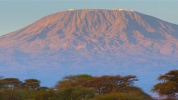 Når de gode viljer får dårlige resultater | Syd- og Sønderjylland | DR