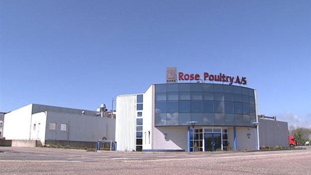 Rose Poultry i Vinderup fyrer 440 mand efter brand | Midt- og ...