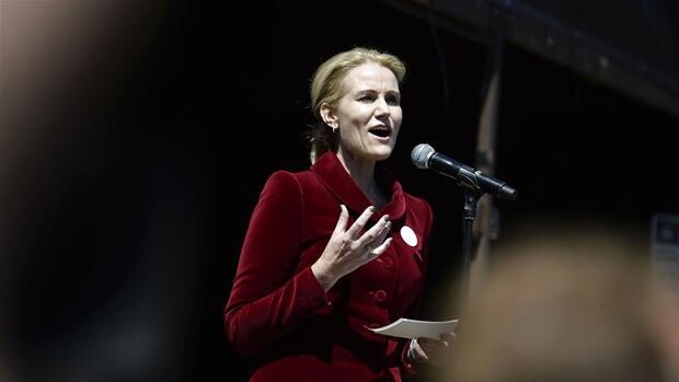 OVERBLIK: Det siger de på grundlovsdag | Valg2015 | DR