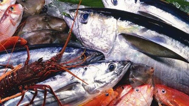 Spis fisk, hvis din partner skal være med rogn: Omega-3 gør sædceller ...