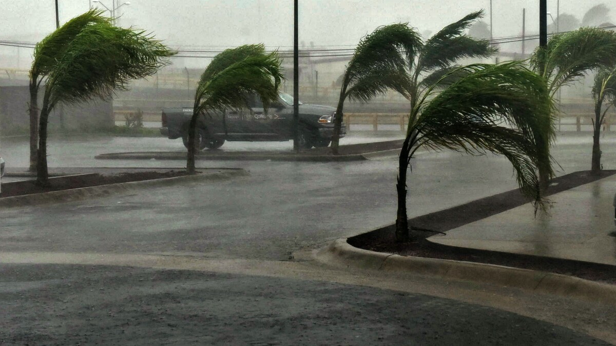 Fakta: Tropiske orkaner, tyfoner eller cykloner | Udland | DR