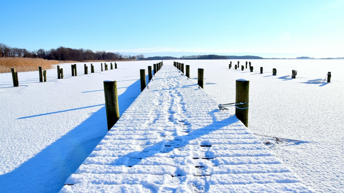 DMI: Vinteren bliver køligere end de seneste to vintre | Vejret | DR