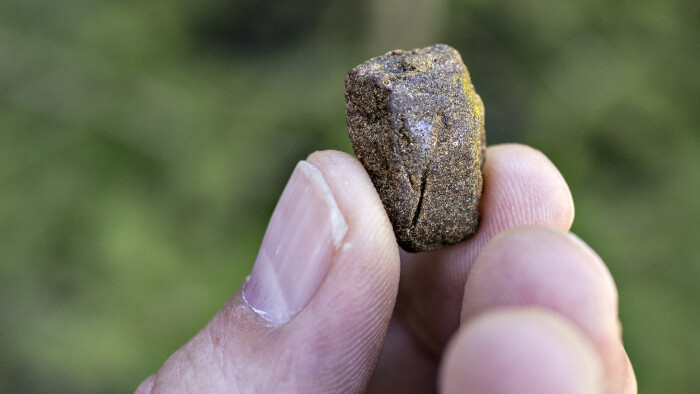 Efterlyst i sag om ti kilo hash sprang ud af vindue fra fire meters ...