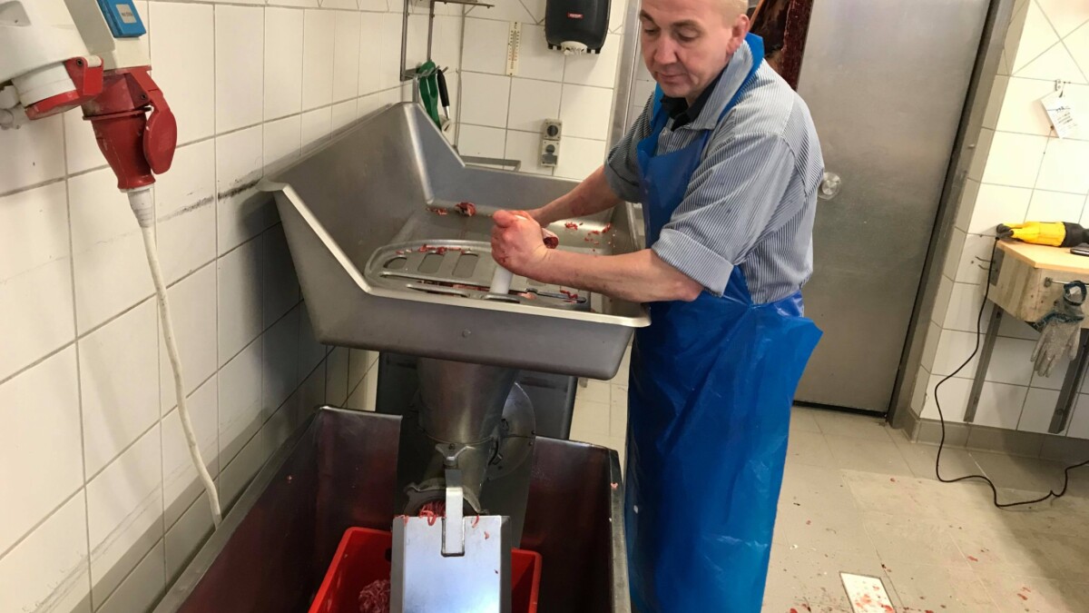 Ulve-frygt får landmænd til at droppe dyr: Rammer slagterier hårdt ...