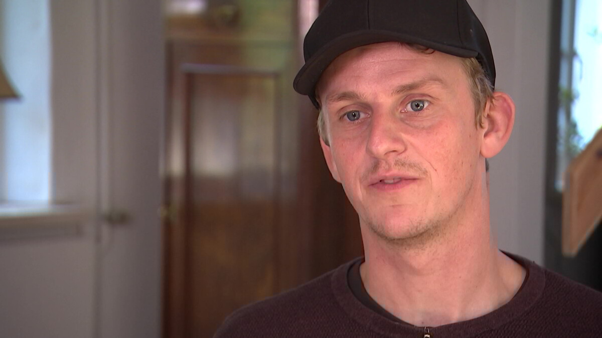 Ulve, nej tak: "Jeg vil trygt kunne tage på picnictur med min familie ...