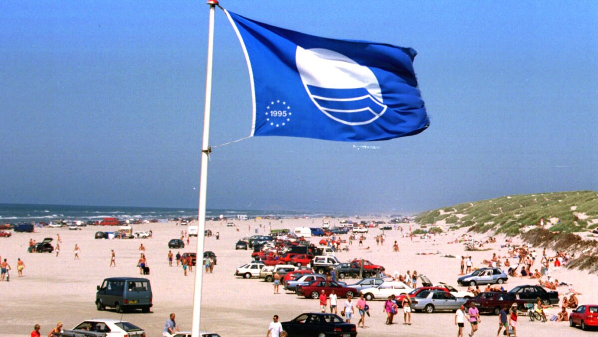 Beskidt badevand: Færre strande får blåt flag | København | DR