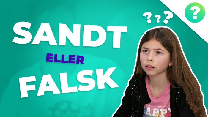 Quiz: Sandt eller falsk om KLASSEN | Ultra | DR