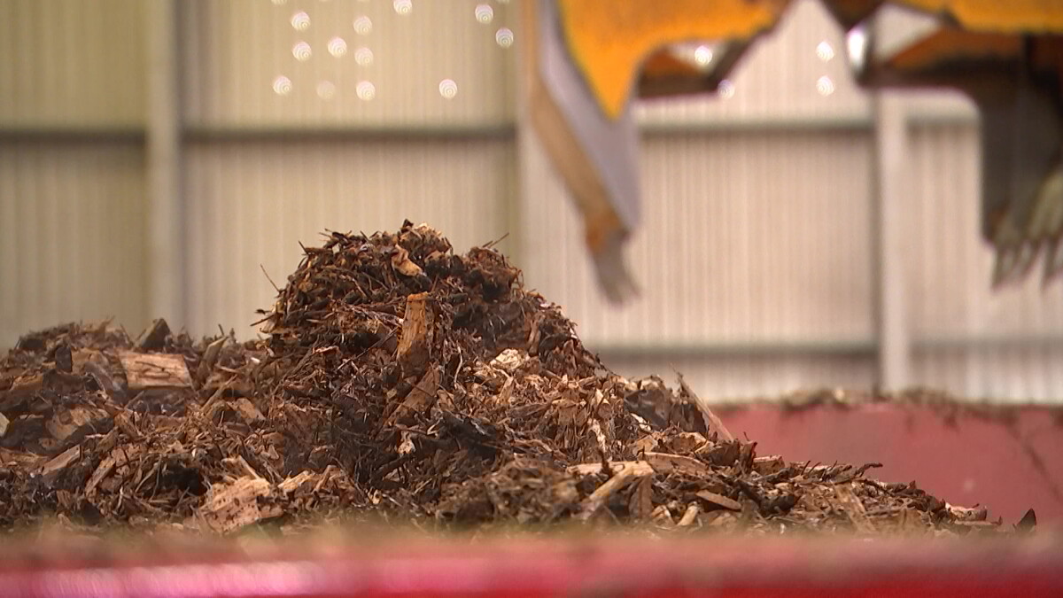 Fra klimasynder til klimaduks: Dansk fabrik knækker CO2-kurven | Penge | DR