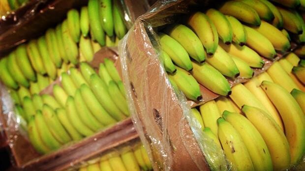 Supermarkeder vil fra næste år kun sælge øko-bananer | Indland | DR