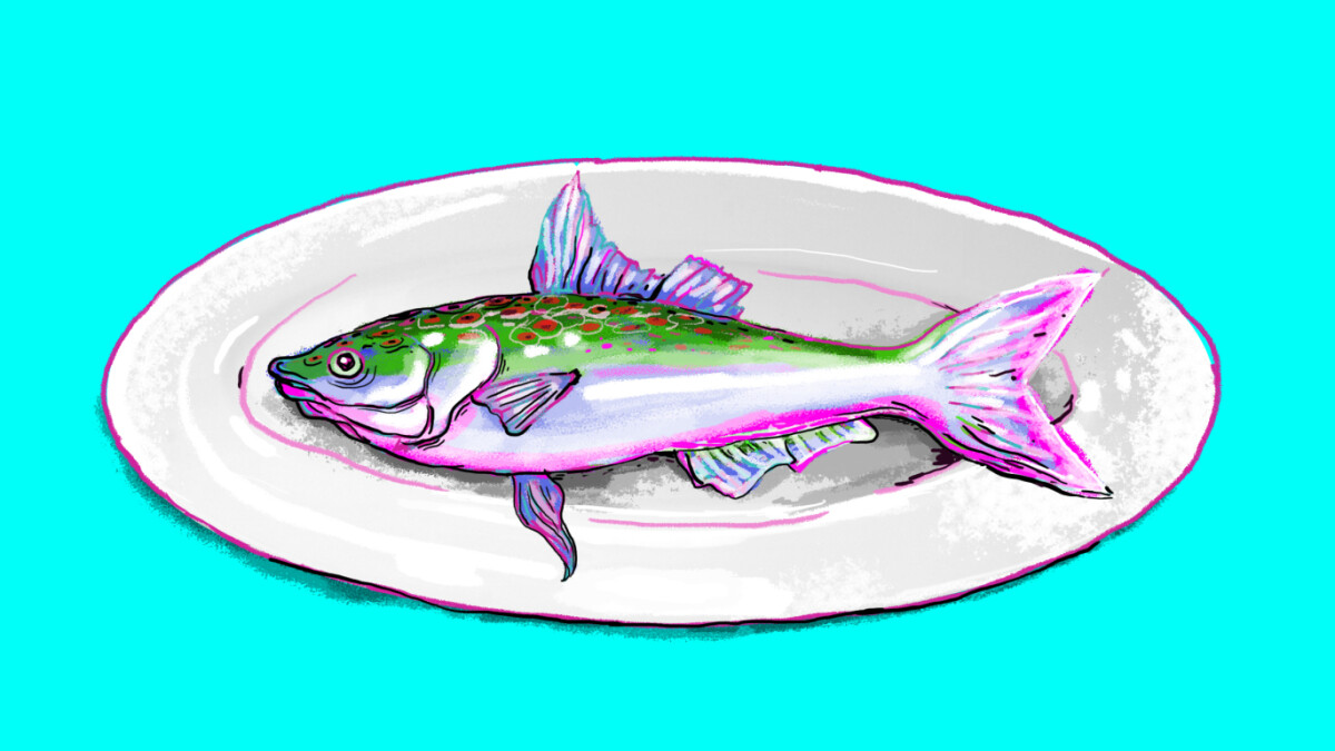 Fiskehandler om laks: Smid nu den fisk tilbage i havet | Mad | DR | Mad ...