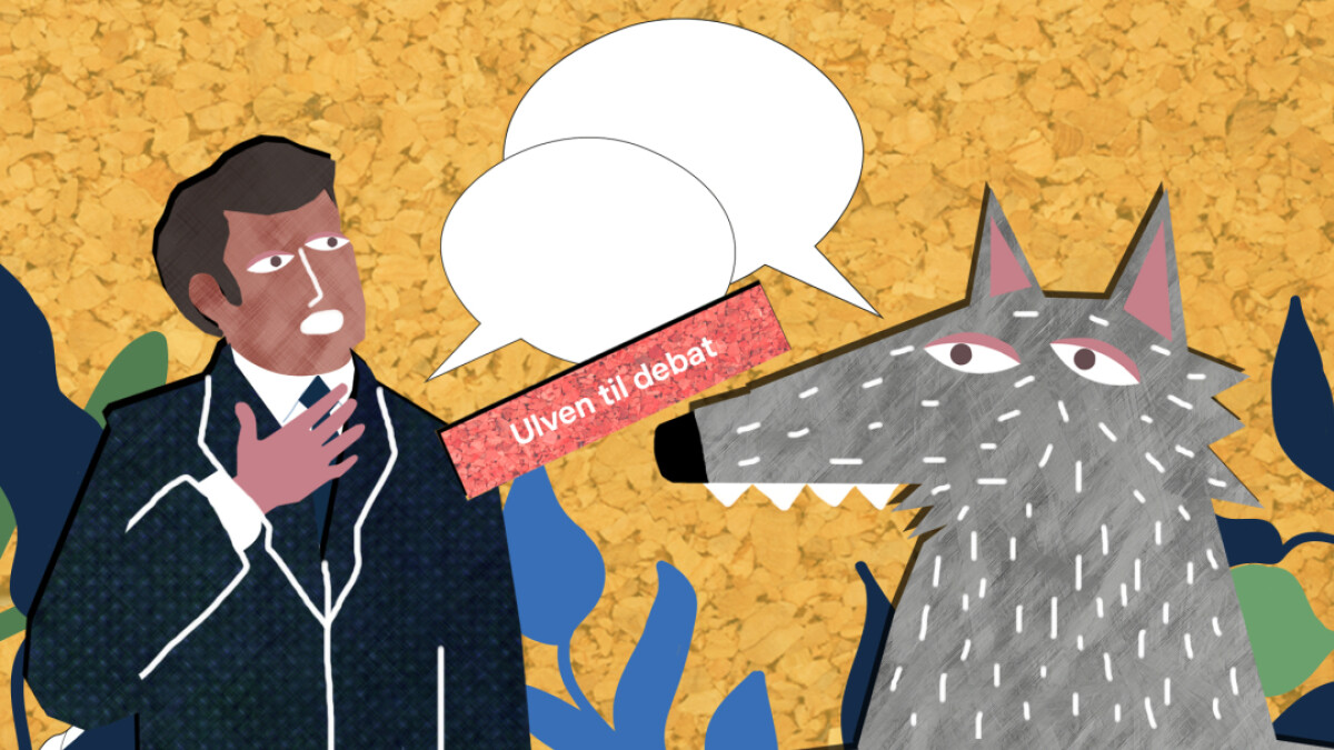 Debatspil: Skal vi have ulve i Danmark? | Biologi Udskoling | DR