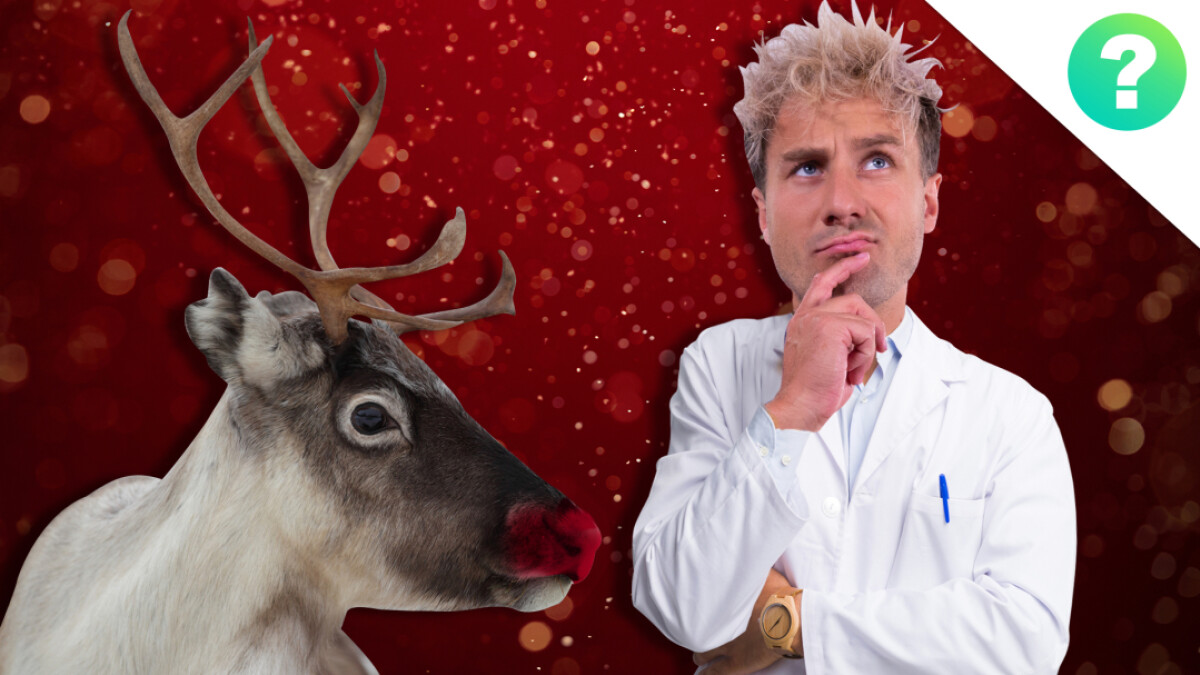 Quiz: Har Rudolf en rød tud? Få styr på julens myter og fortællinger ...