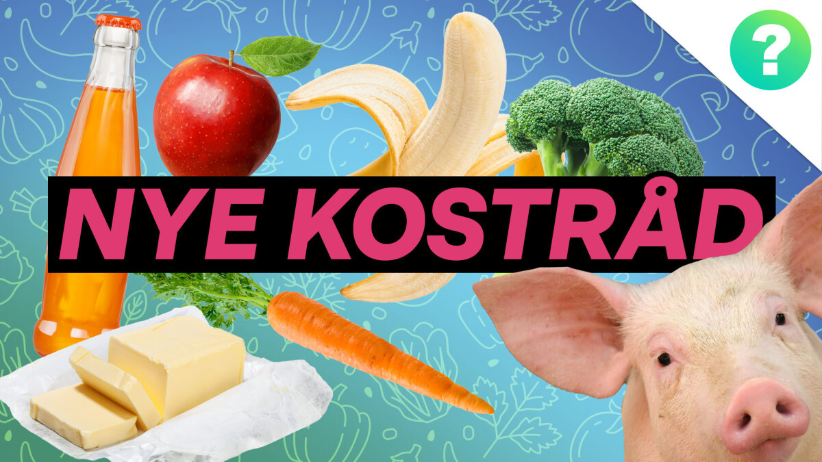 QUIZ: Nye kostråd har fokus på krop og klima! Ved du, hvad vi skal ...