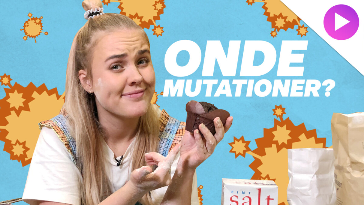 Inge forklarer med muffins: Hvorfor muterer virus? | Ultra Nyt | DR