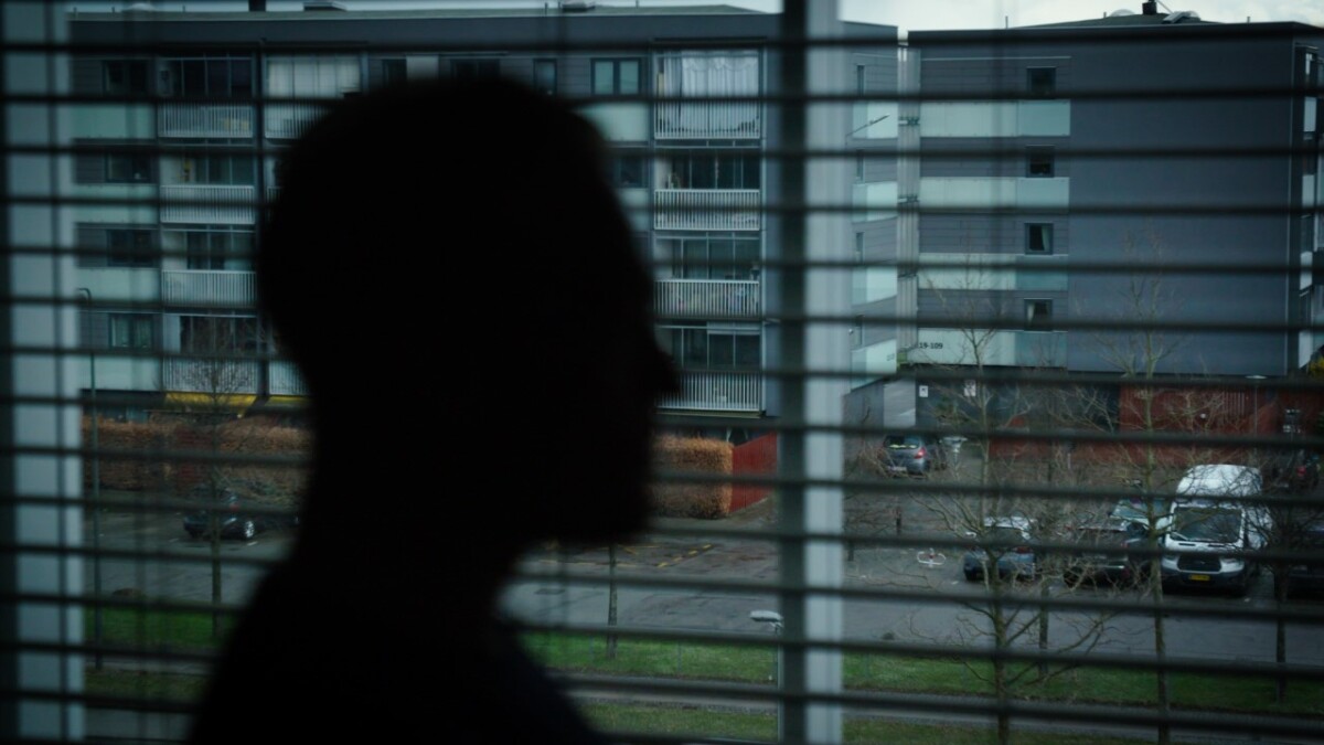 Hængte Mette Frederiksen-dukke op i lygtepæl: Nu taler sigtet for ...