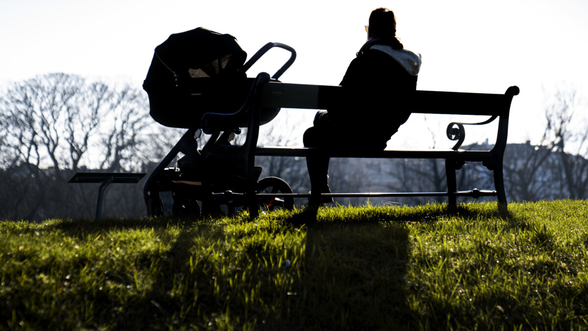 Regeringen vil undtage selvstændige for regler om øremærket barsel til ...