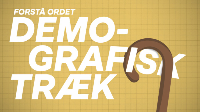 Demo... hvad for noget: Hvad mener politikerne, når de siger 'det demografiske træk ...