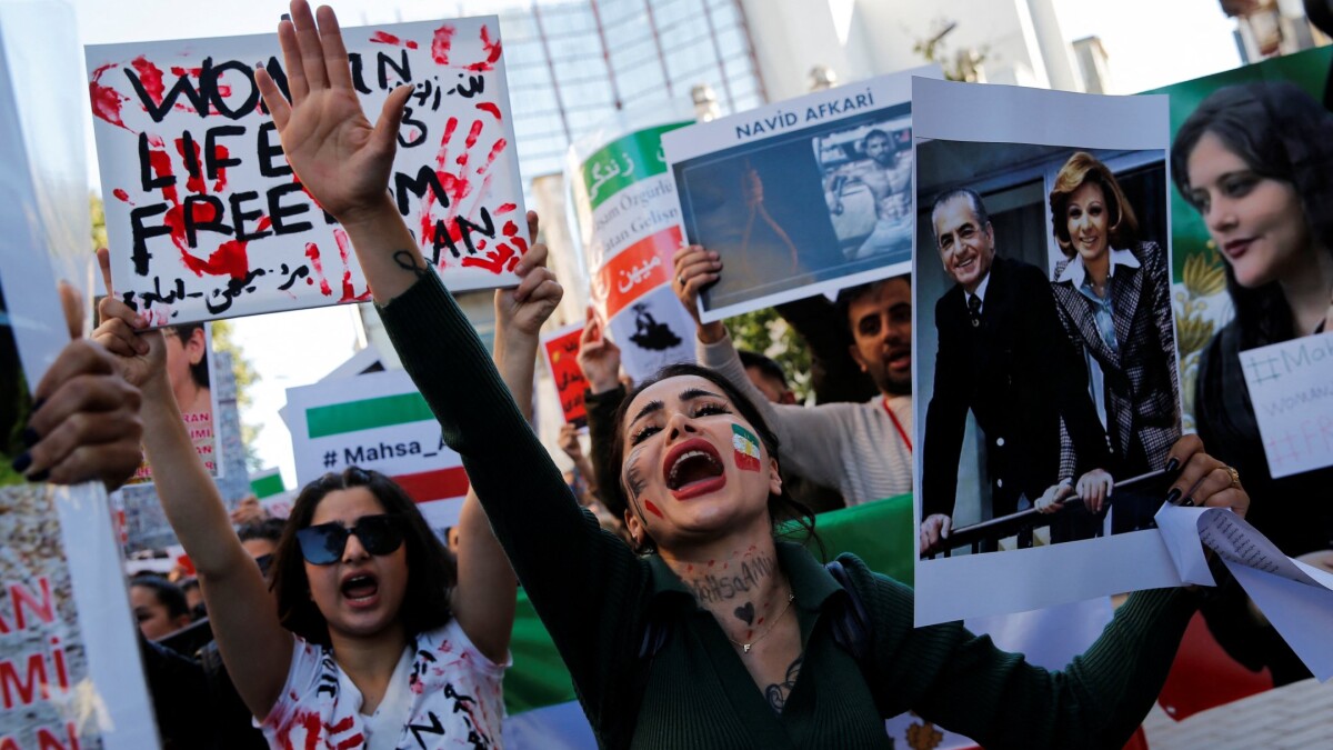 OVERBLIK Brand i gaderne og hår i hænderne: Sådan har protesterne mod ...