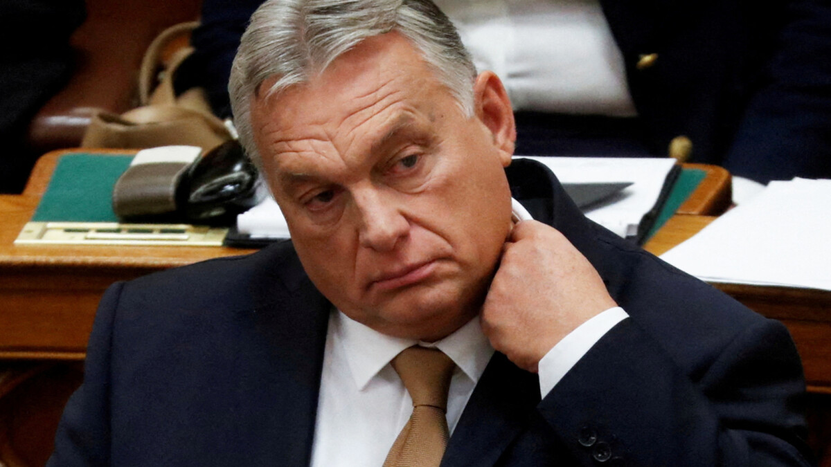 Ungarsk korruptions-vagthund: Orbán skal presses til at ændre kurs ...