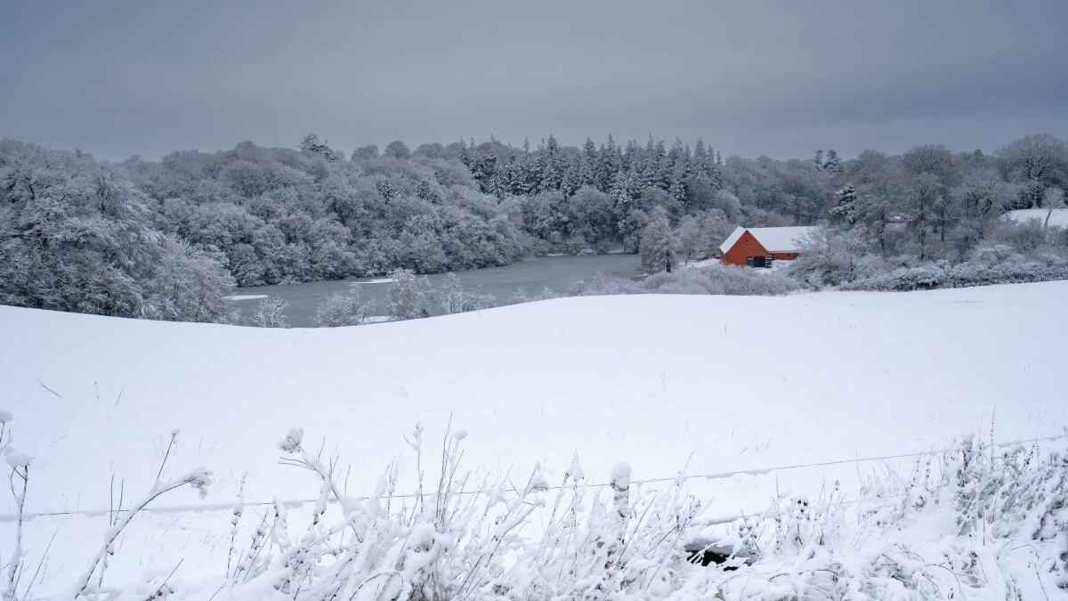 Isnende kulde landet over: Årets koldeste dag i billeder | Vejret | DR
