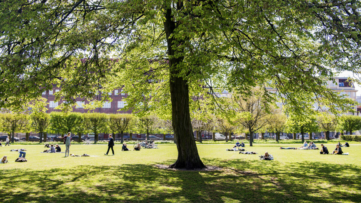 I dag kan vi få årets første sommerdag med 25 grader | Vejret | DR