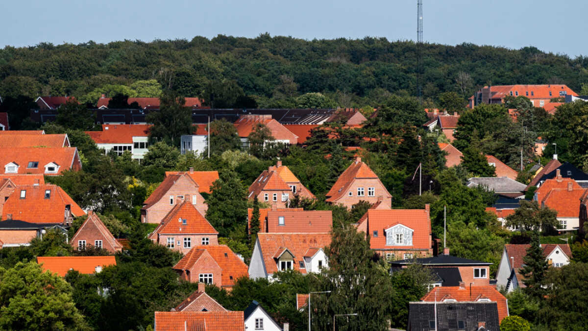 Sorte skyer over boligmarkedet letter ifølge vismænd frem mod 2030 ...