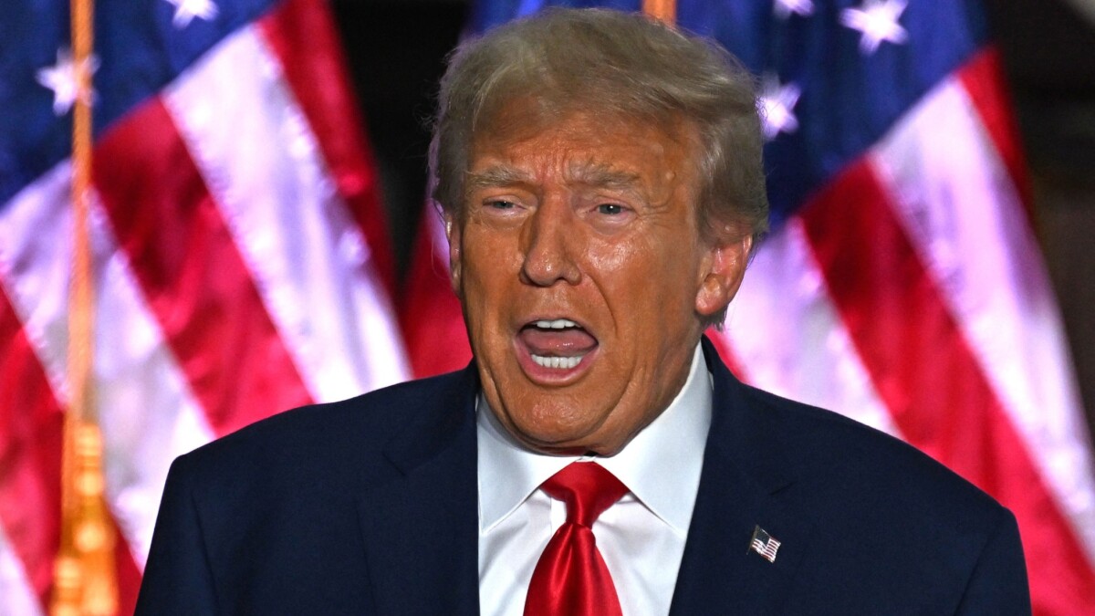 Den amerikanske stat har lagt sag an mod Donald Trump. Hvad handler den ...