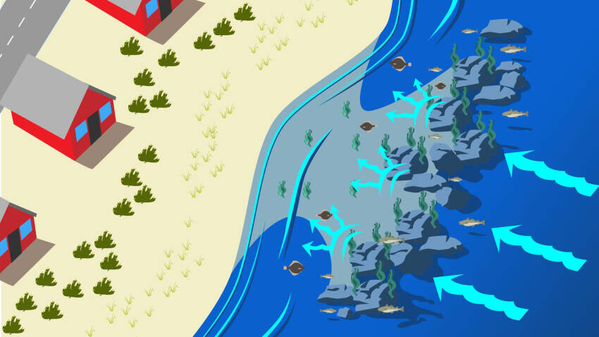 Er sten bedre end sand til at sikre de danske kyster? Forskere og ...