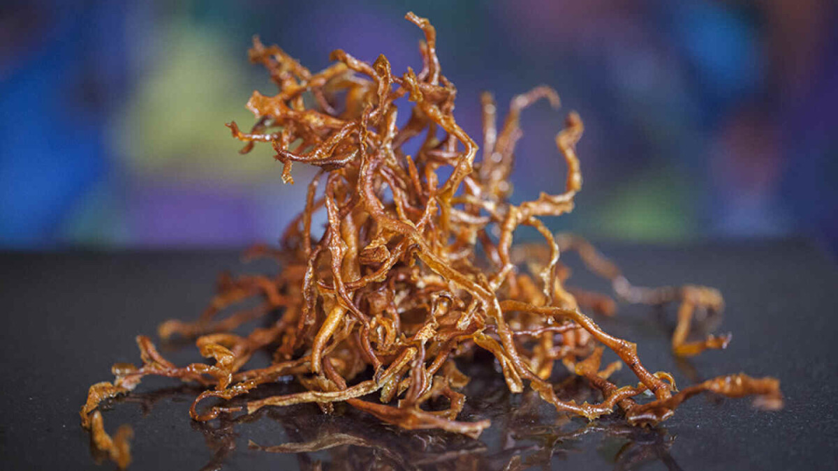 Sprøde gulerodschips | Opskrift | Michael Folman Jensen | Opskrift | DR