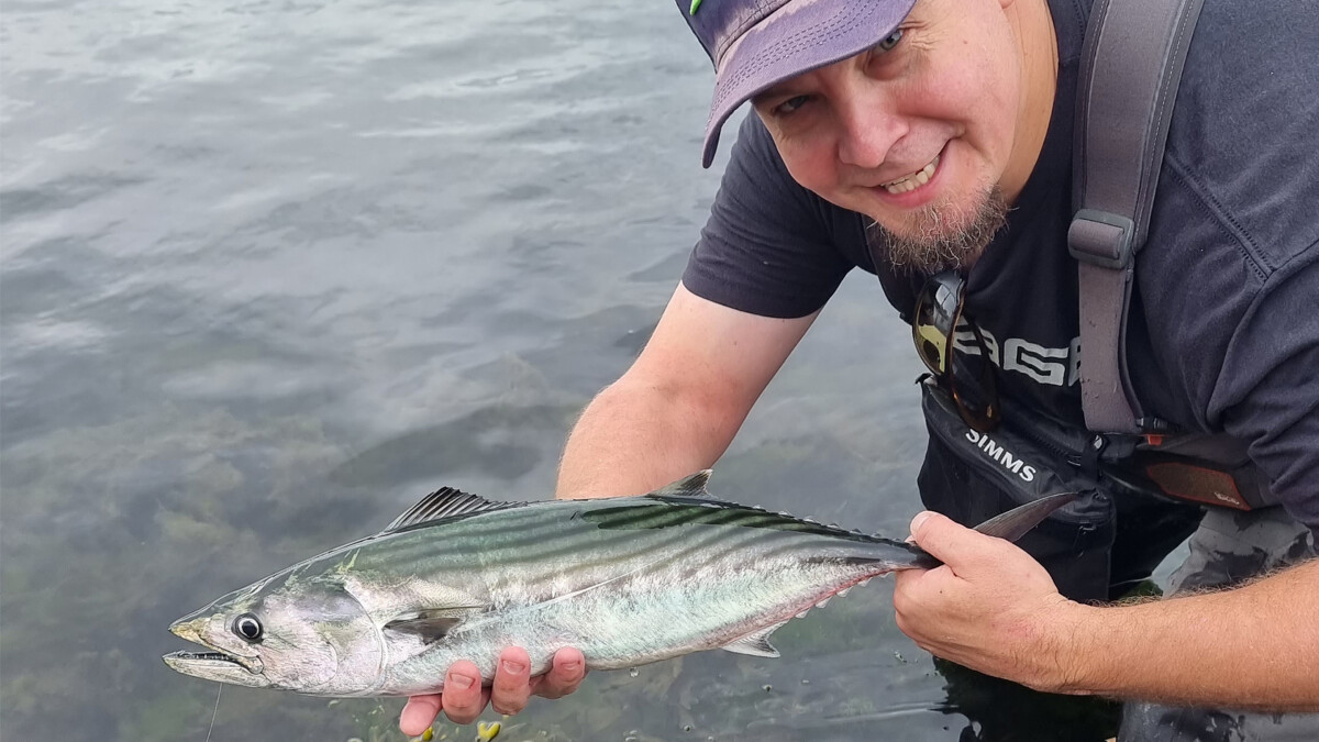 Lystfiskere hiver tun ind fra den danske kyst | Indland | DR