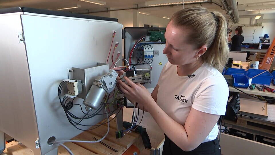 Halvdelen af ukrainerne i Danmark er nu i job. Særligt i Jylland går det godt | Ligetil på ...