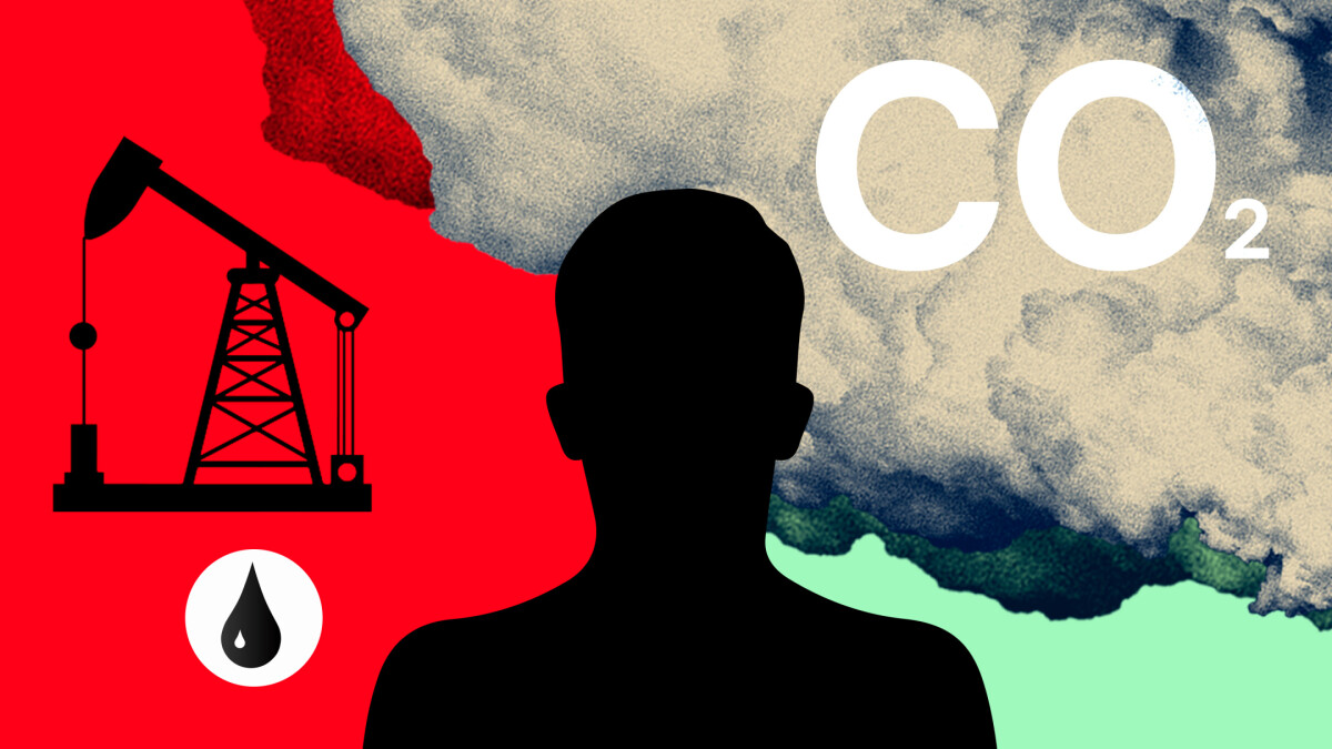 Så meget har hver pensionskasse i de 'sorte' investeringer – find din ...