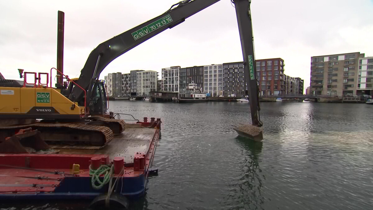 Københavns Havn skal være verdens første 'refugium' for den kritisk ...