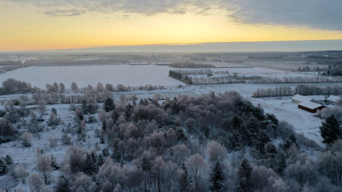 Minus 17 grader: Midtjysk landsby sætter bundfrossen årsrekord | Vejret ...