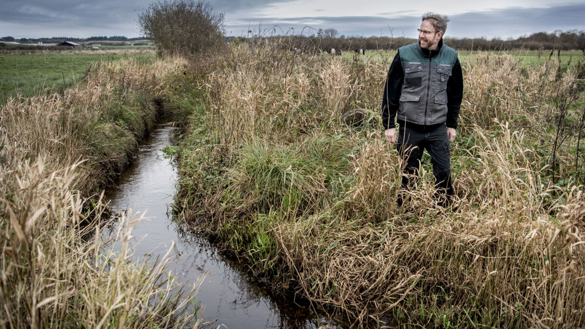 Nye 'chokerende' og 'alvorlige' tal udfordrer landbrugets klimamål ...