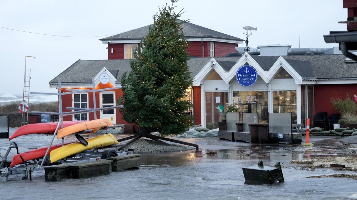 På Hornbæk Havn står selv legepladsen under vand: 'Det er temmelig ...