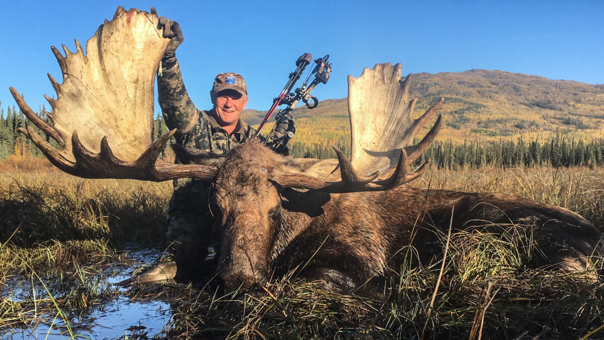 Nu kan du møde flere Robin Hood-typer i skoven: Jægere som Henrik må ...