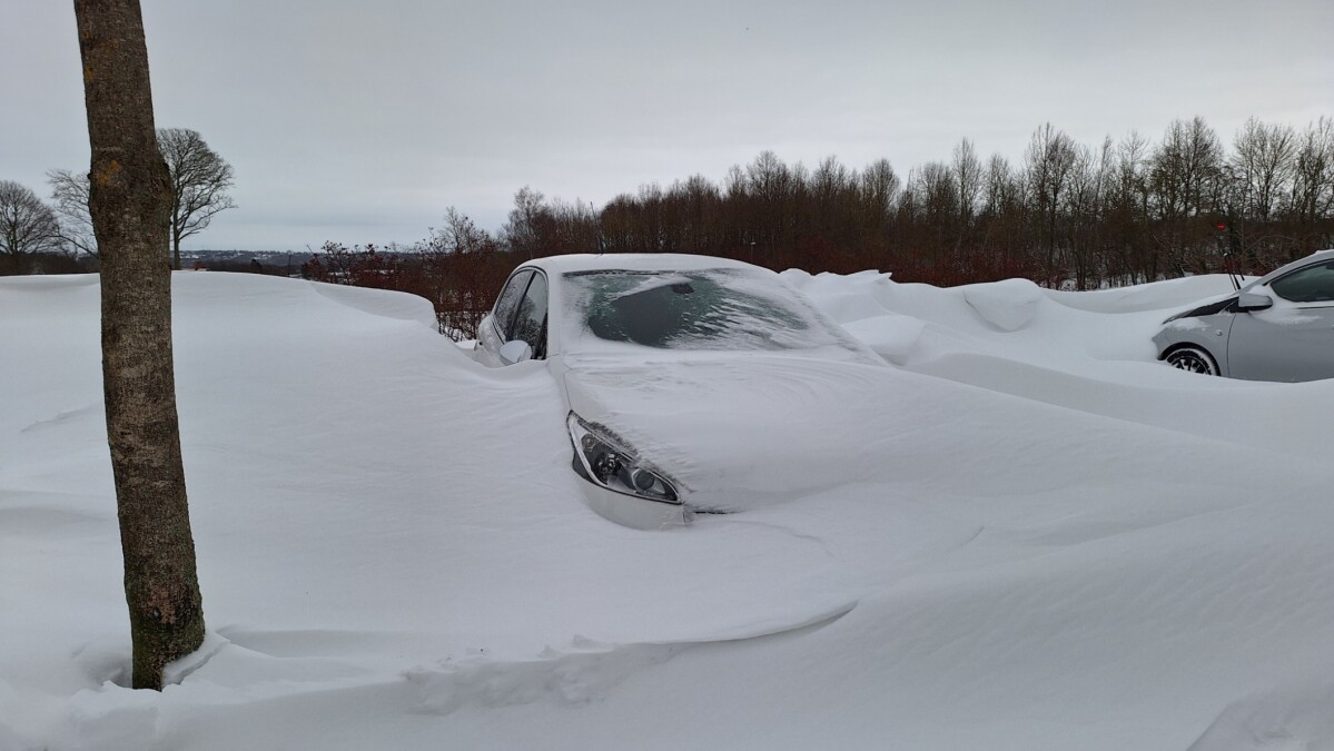Snestormen gav en halv meter sne: Største snedybde i Danmark i 13 år ...