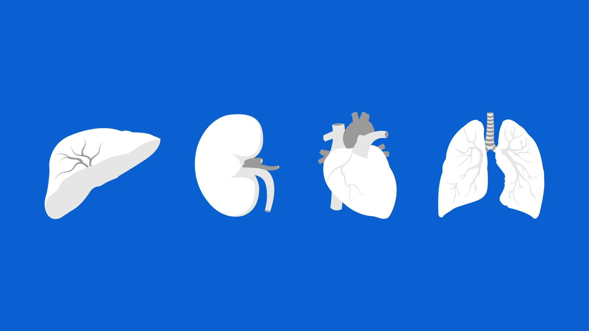 Regeringen vil gøre organdonation automatisk | Indland | DR