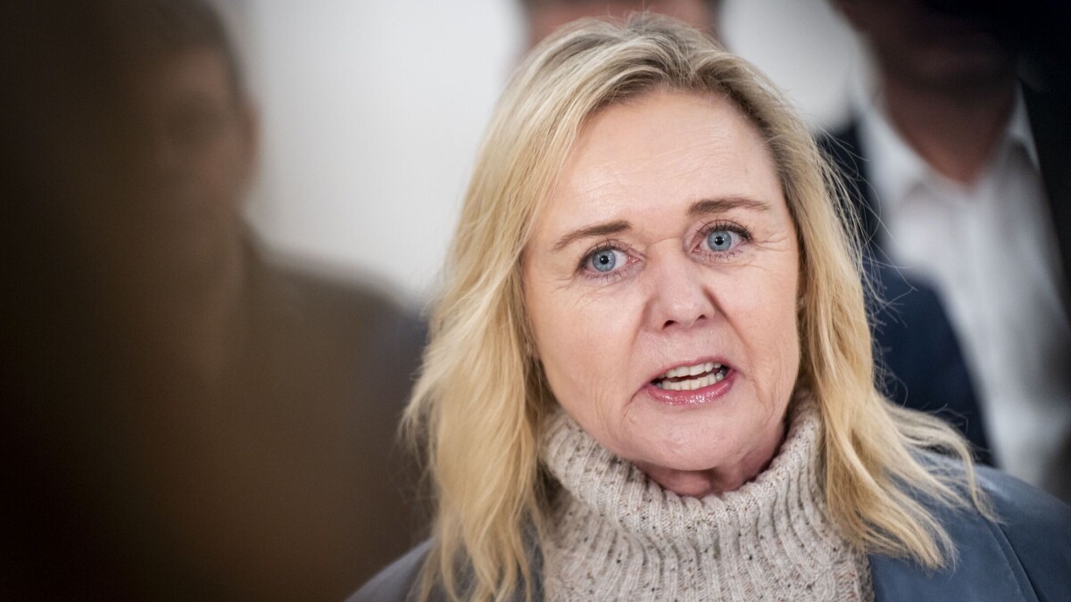 Cordsen: Svær opgave venter ny konservativ leder | Analyser | DR