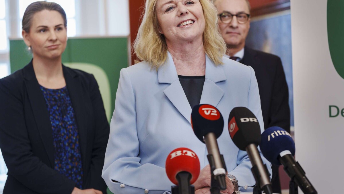 Konservative udpeger ny politisk leder | Politik | DR