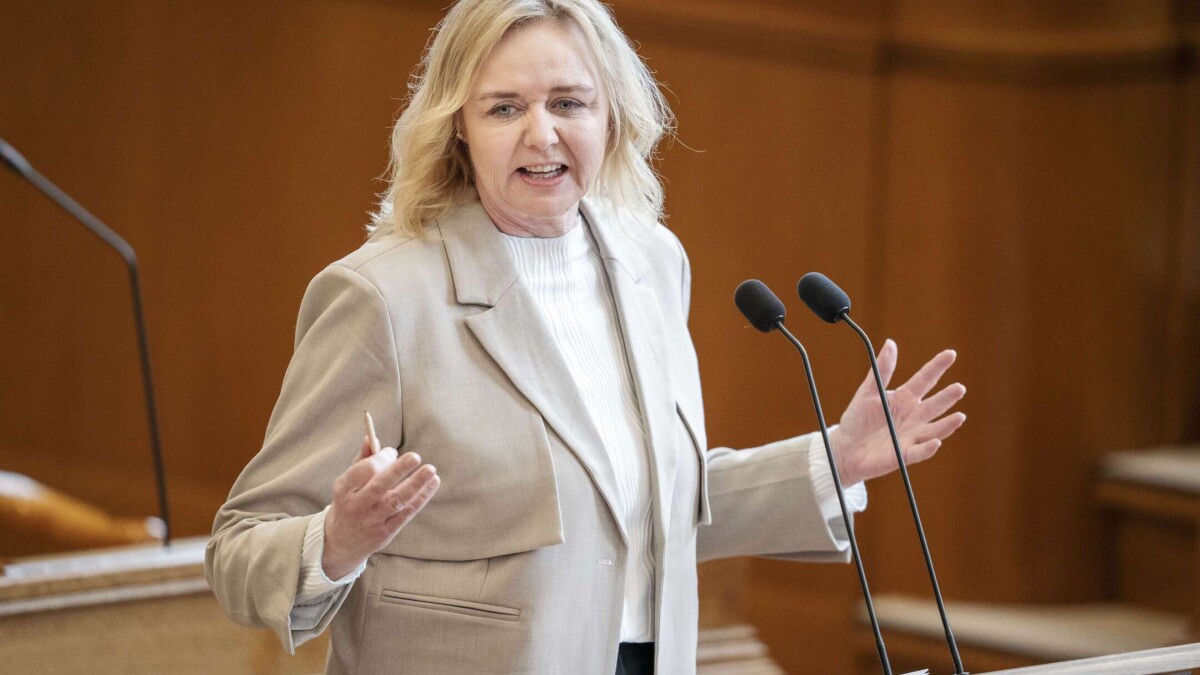 Ny konservativ formand sender stikpille efter Liberal Alliance - men ...